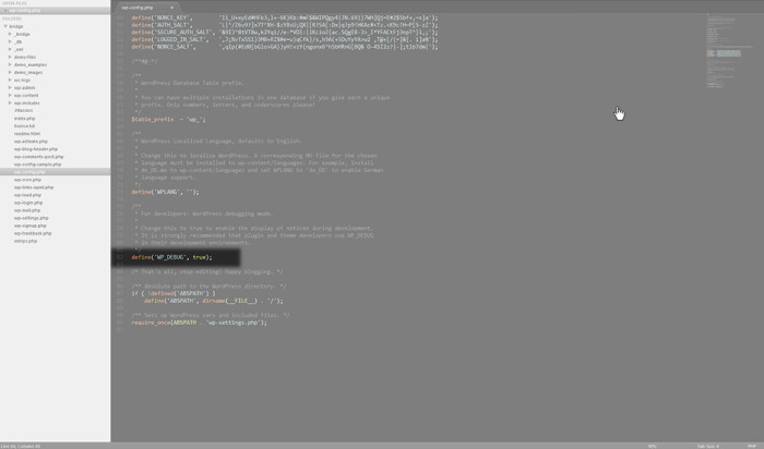 Bridge Documentation and Tutorials | 2.3 Installing the Bridge theme